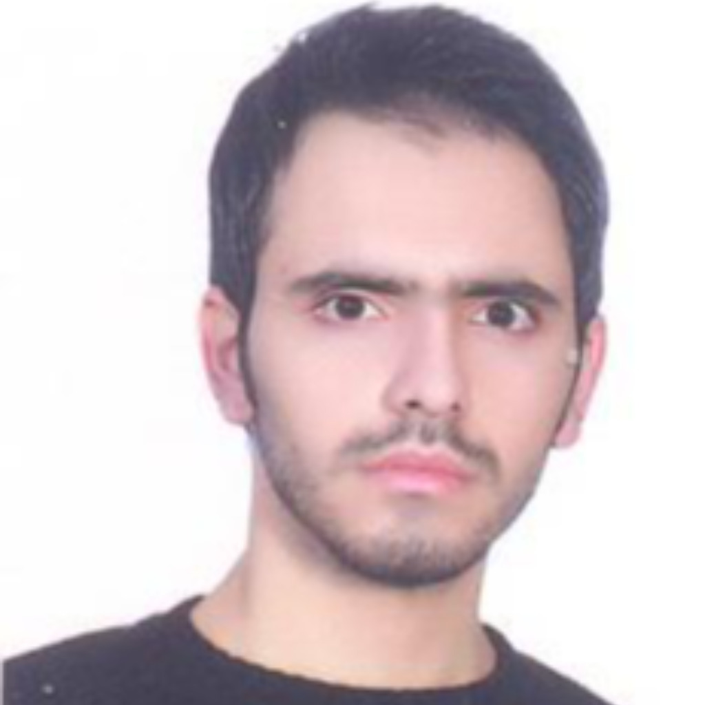 Hassan Azimi - Fuel Pump Design and Engineering - RISECO HOLDING ...