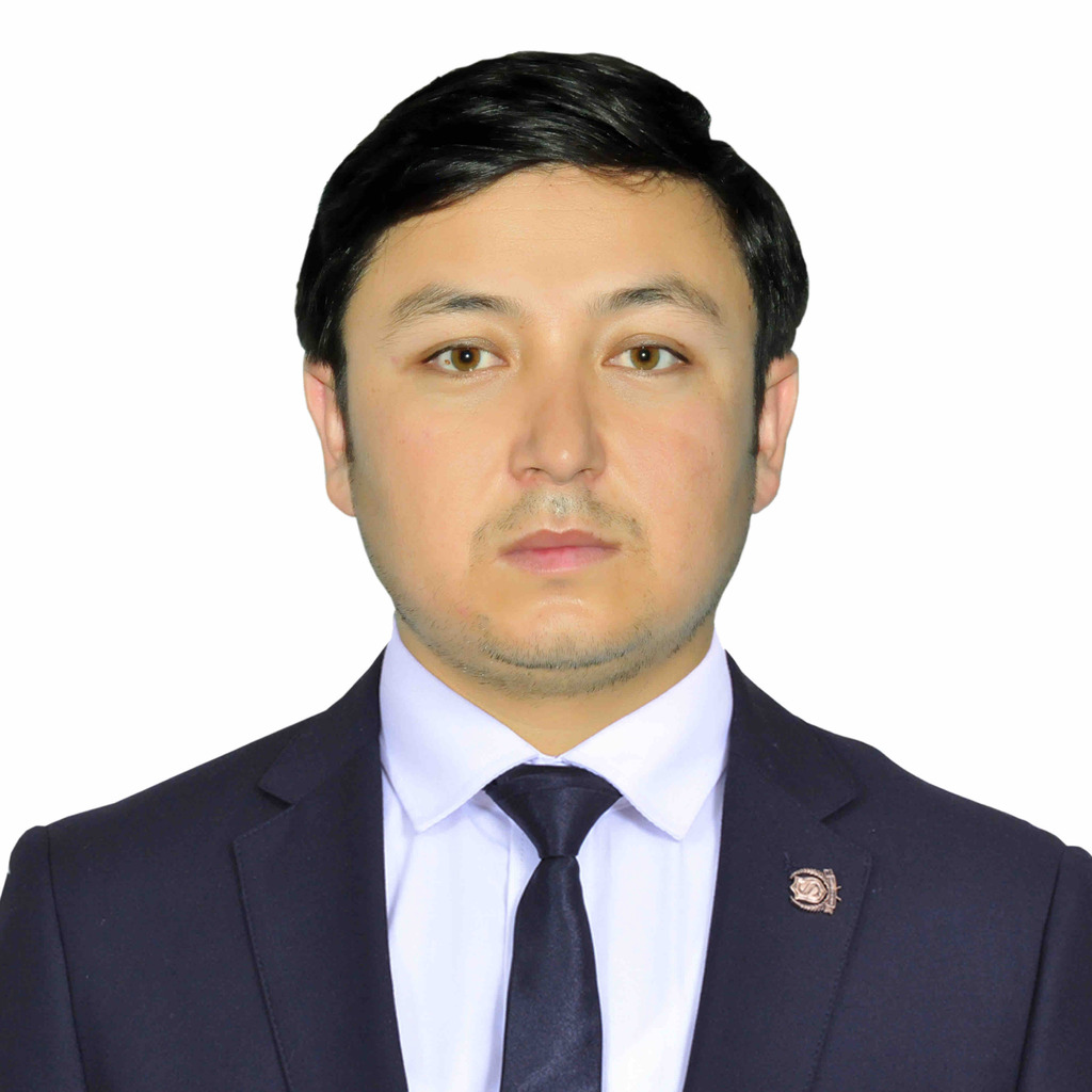 Najmuddin Tahiri - Regional Program Manager - GFA Consulting Group GmbH ...