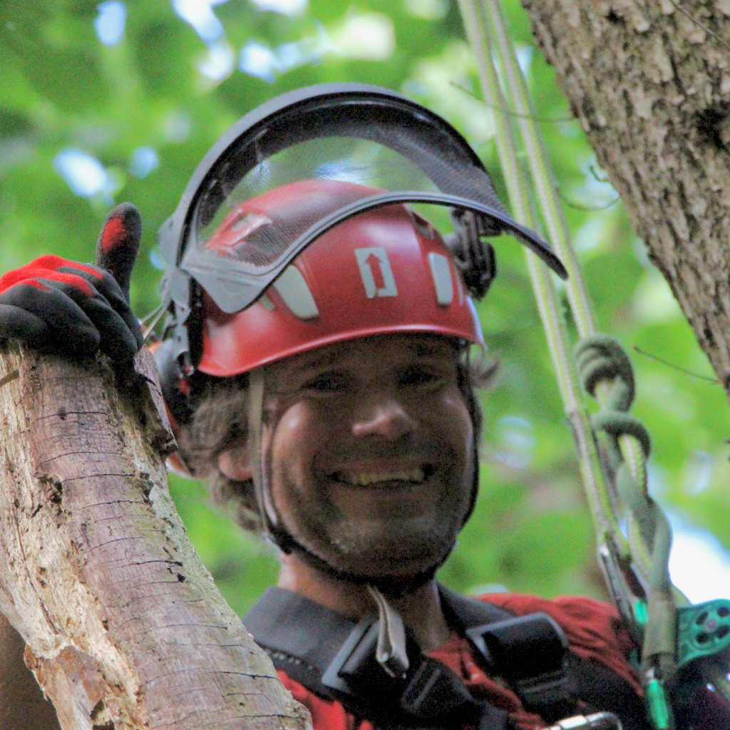 Jo Decker - Baumpfleger und Kontrolleur - Baumkontrolle und Pflege | XING