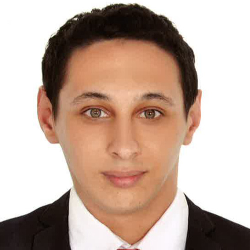 Marco Mahros - Software Engineer - intalio | XING