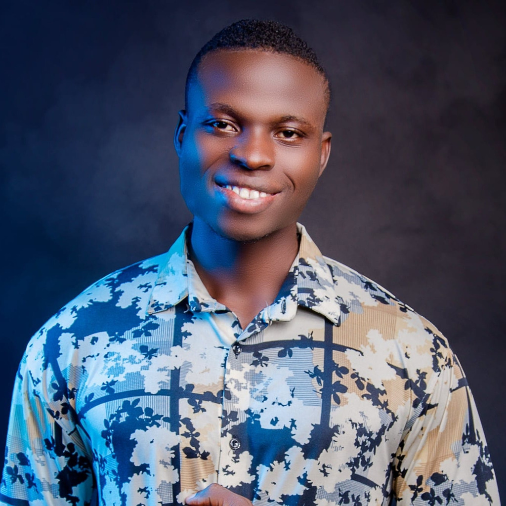 Destiny Diekedie - Shopware Developer - I'm self employed | XING