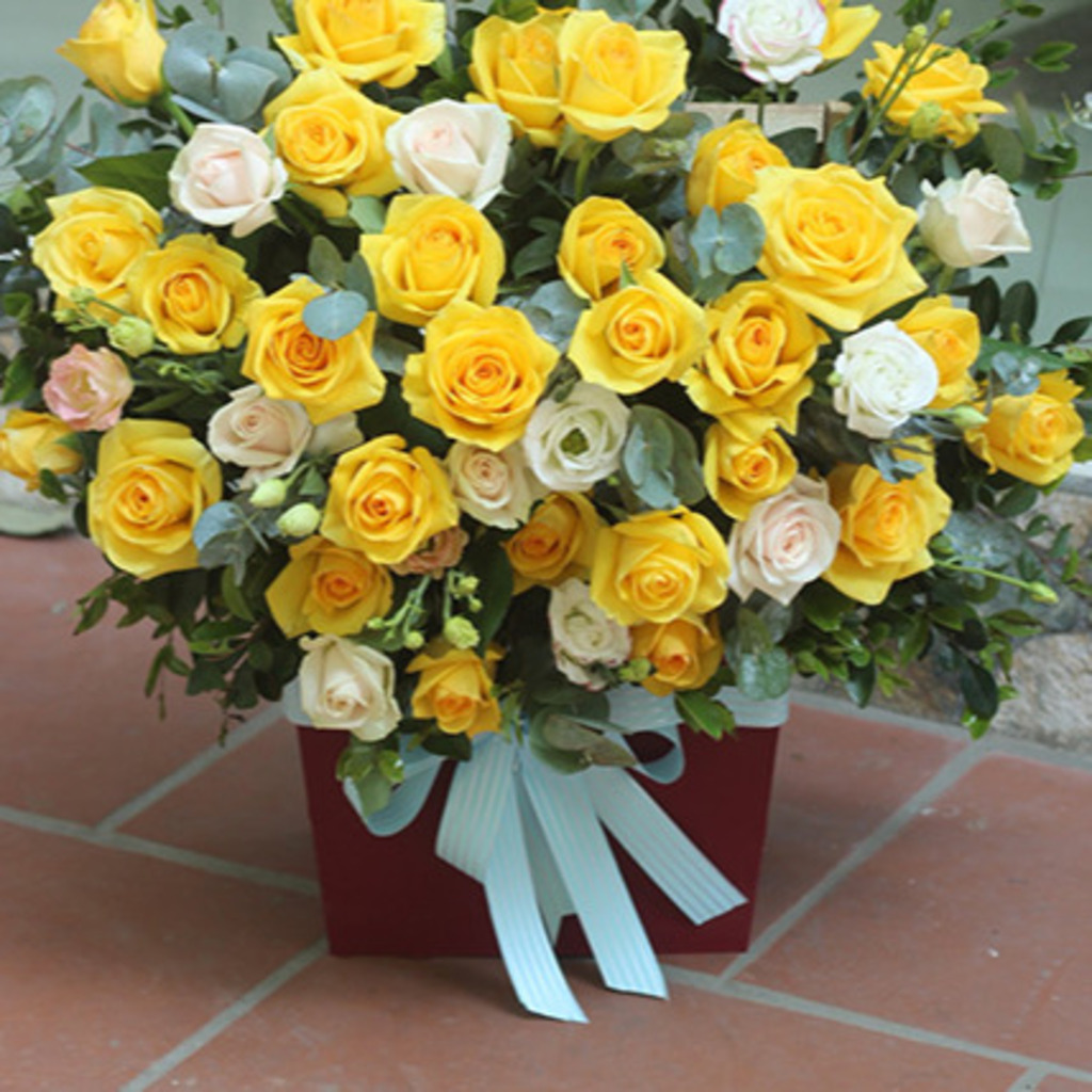 Flowres Alo - bangbanhoa - TechTalk – Building Software that Matters | XING