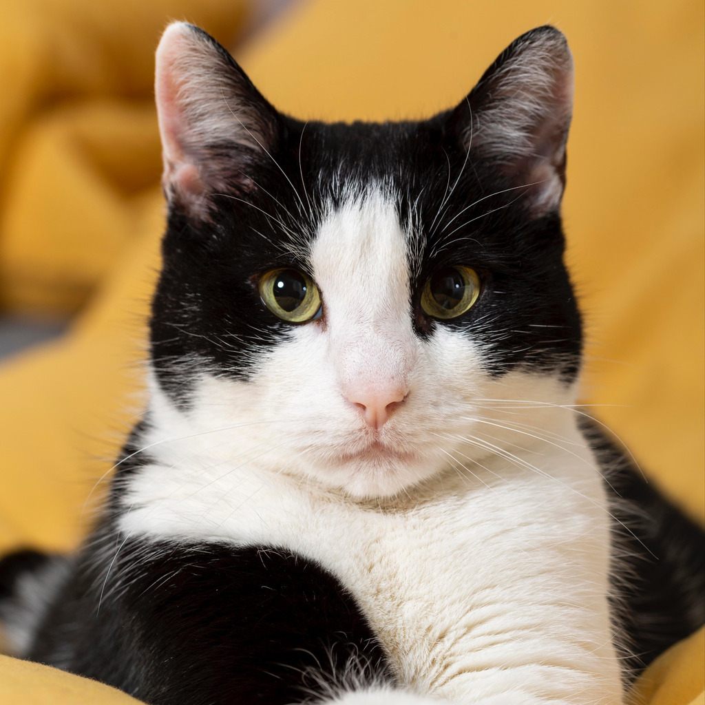 Richard Monz - IT System Engineer - Tagueri AG | XING