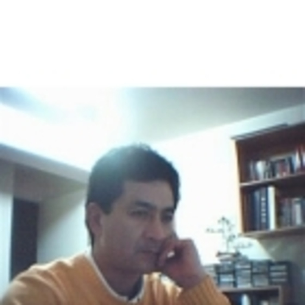 Cesar Alberto Amayo Ichikawa - Analista de Sistemas - Privado | XING