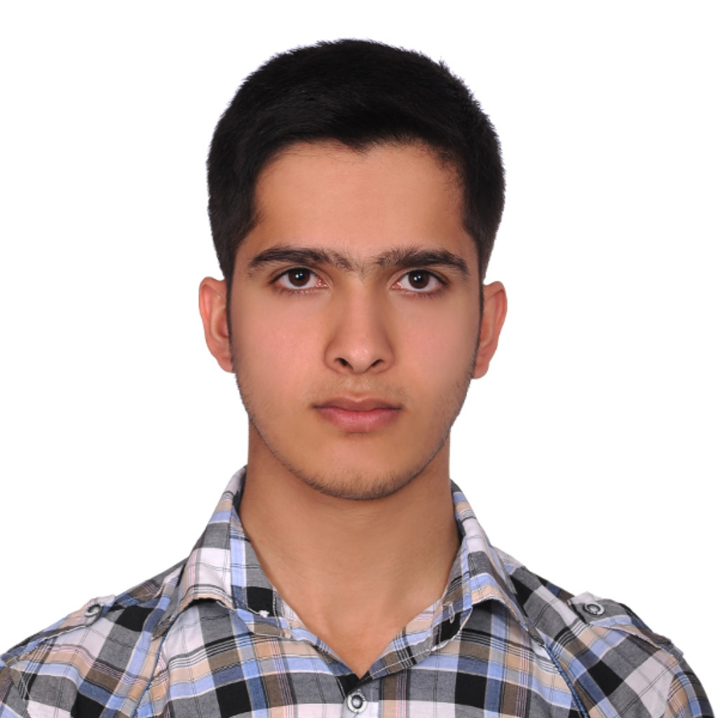 Ali Mamizadeh - Android App Developer - Hinava | XING