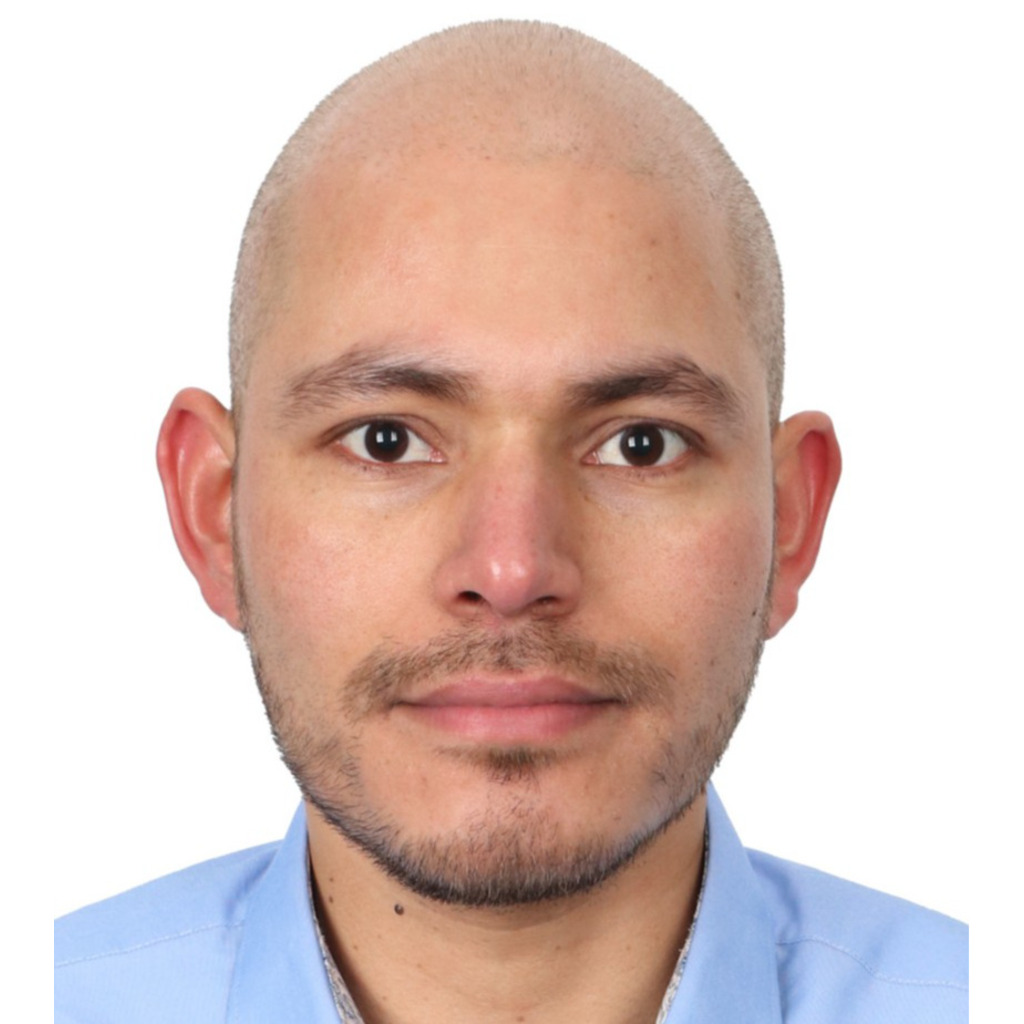 Darwin Alvarez - Inhouse Business Consultant for the Accounting/Financial SAP Template - Daimler ...