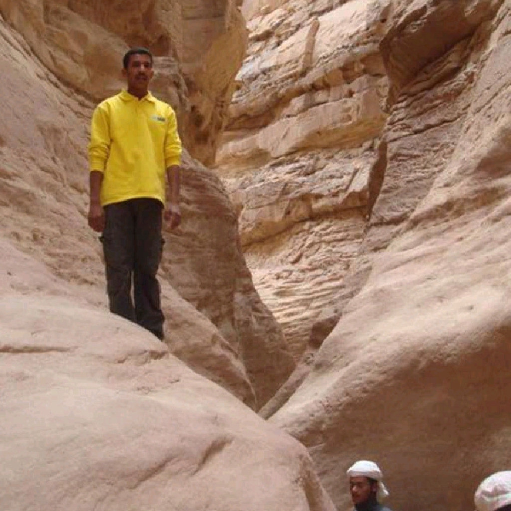 Dr. Ayman El adly - Guide, tour leader - Also tour, hurghada | XING