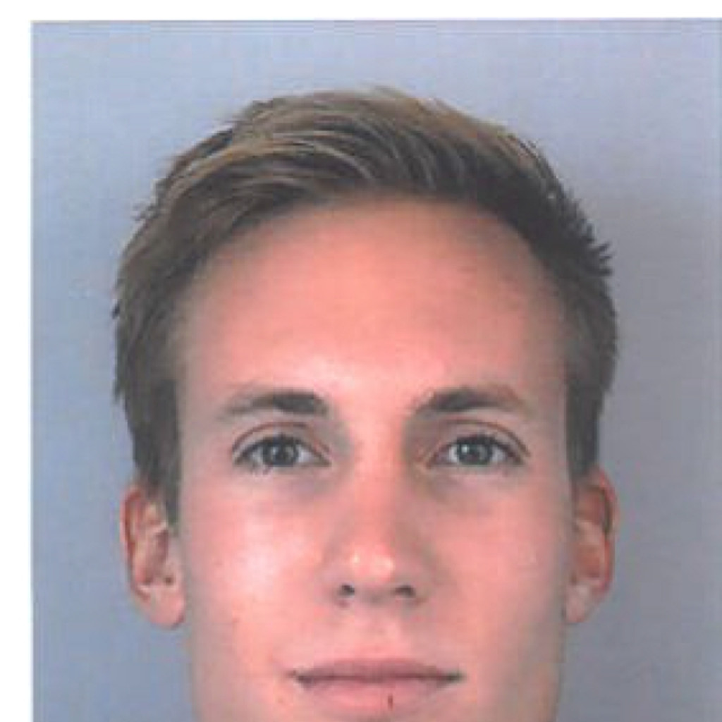 Ryan Balmer - Polymechaniker - Landert Motoren AG | XING