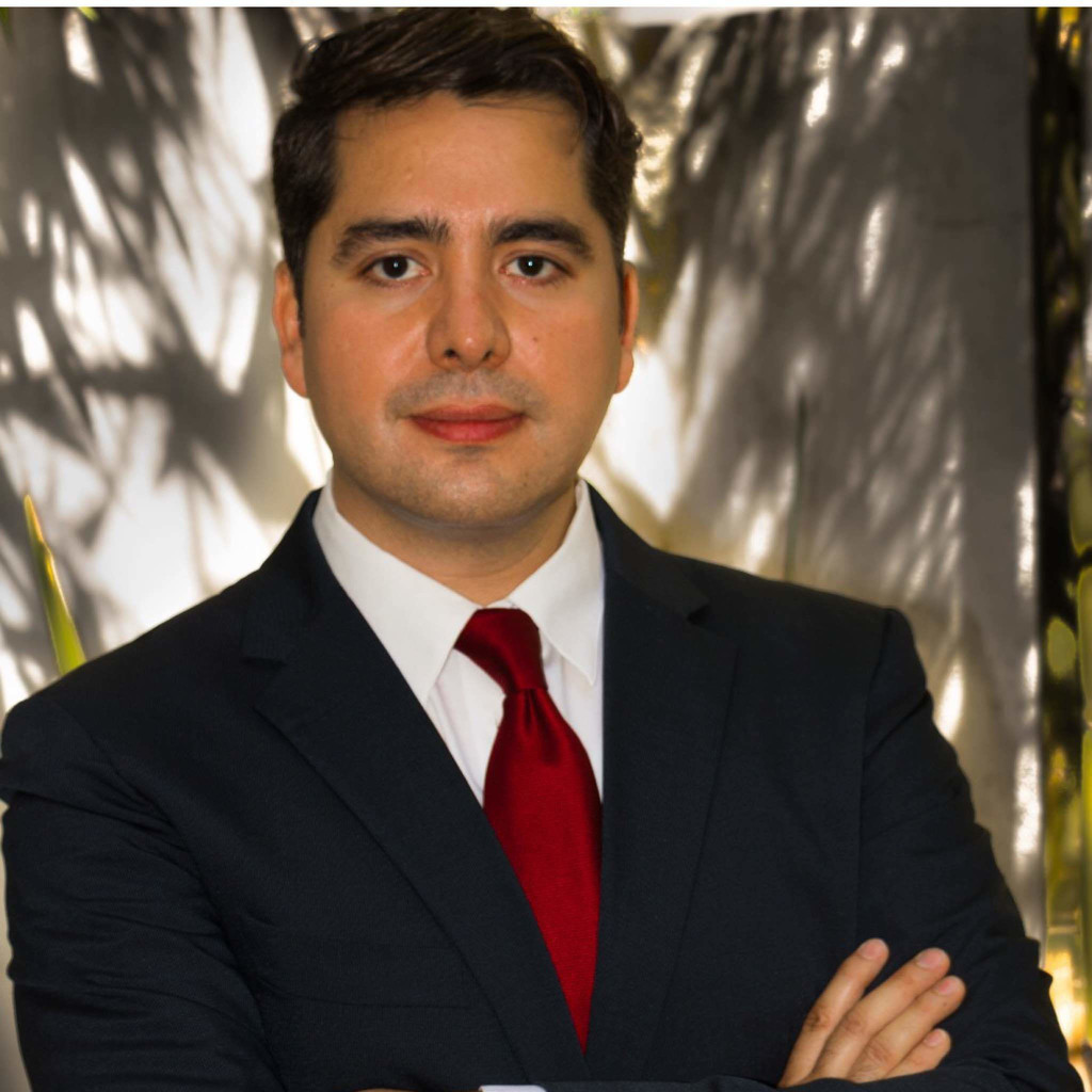 Iván Rodrigo RAMIREZ MANTECA - Portfolio Manager - Citi | XING