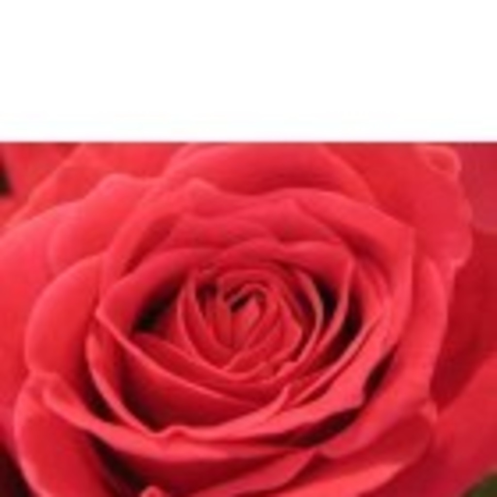 Selva Raj - Business Development Manager - Oxy Technologies | XING