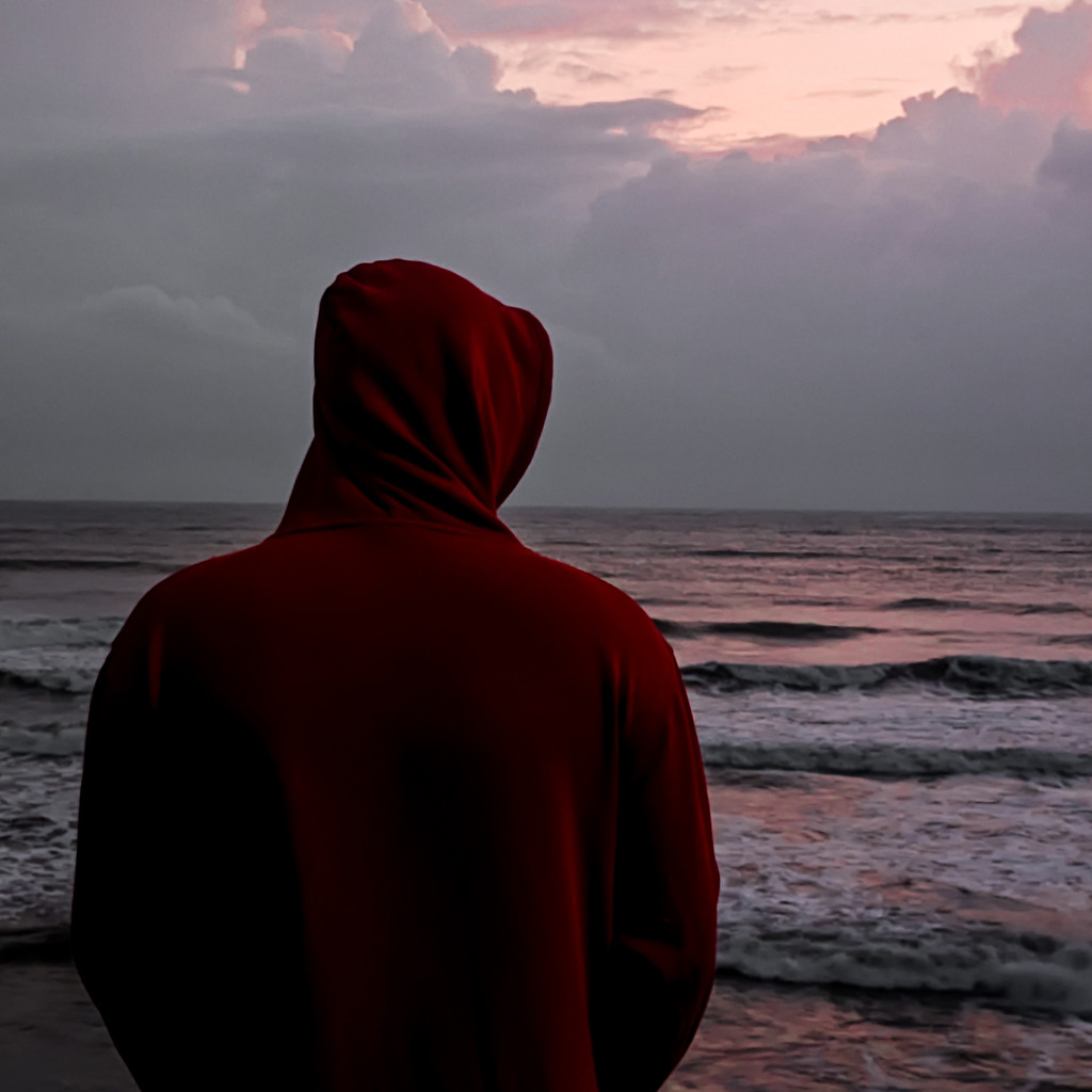 Justin Miranda - Java Developer - Niveus solutions | XING