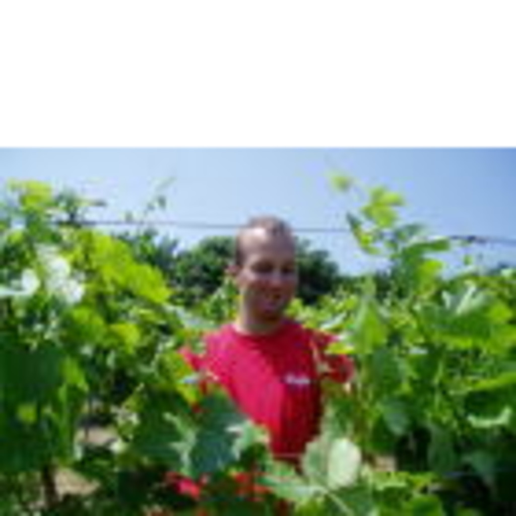 Christian Neumayer - Winzer - Weinbau Neumayer | XING