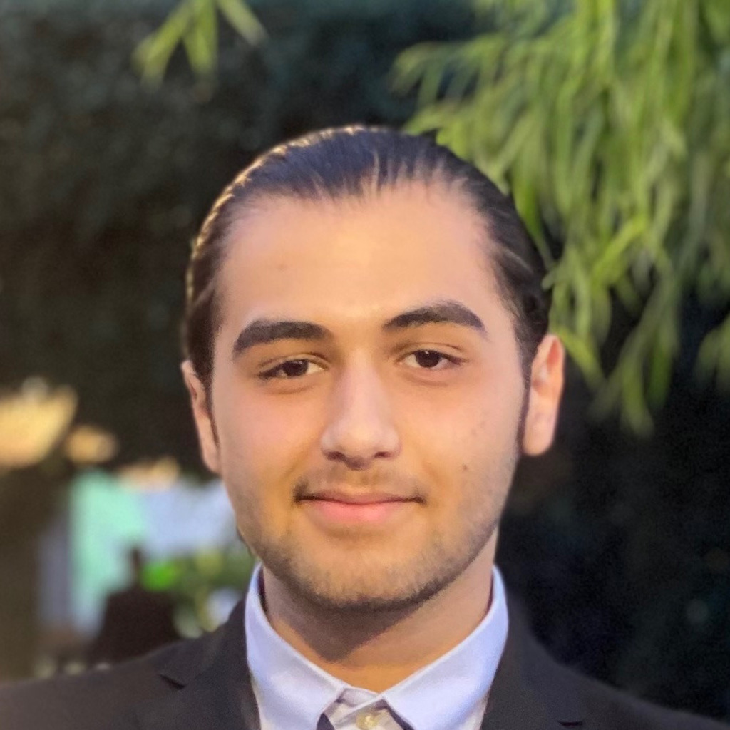 parta alavi - Software Developer - Faraz | XING