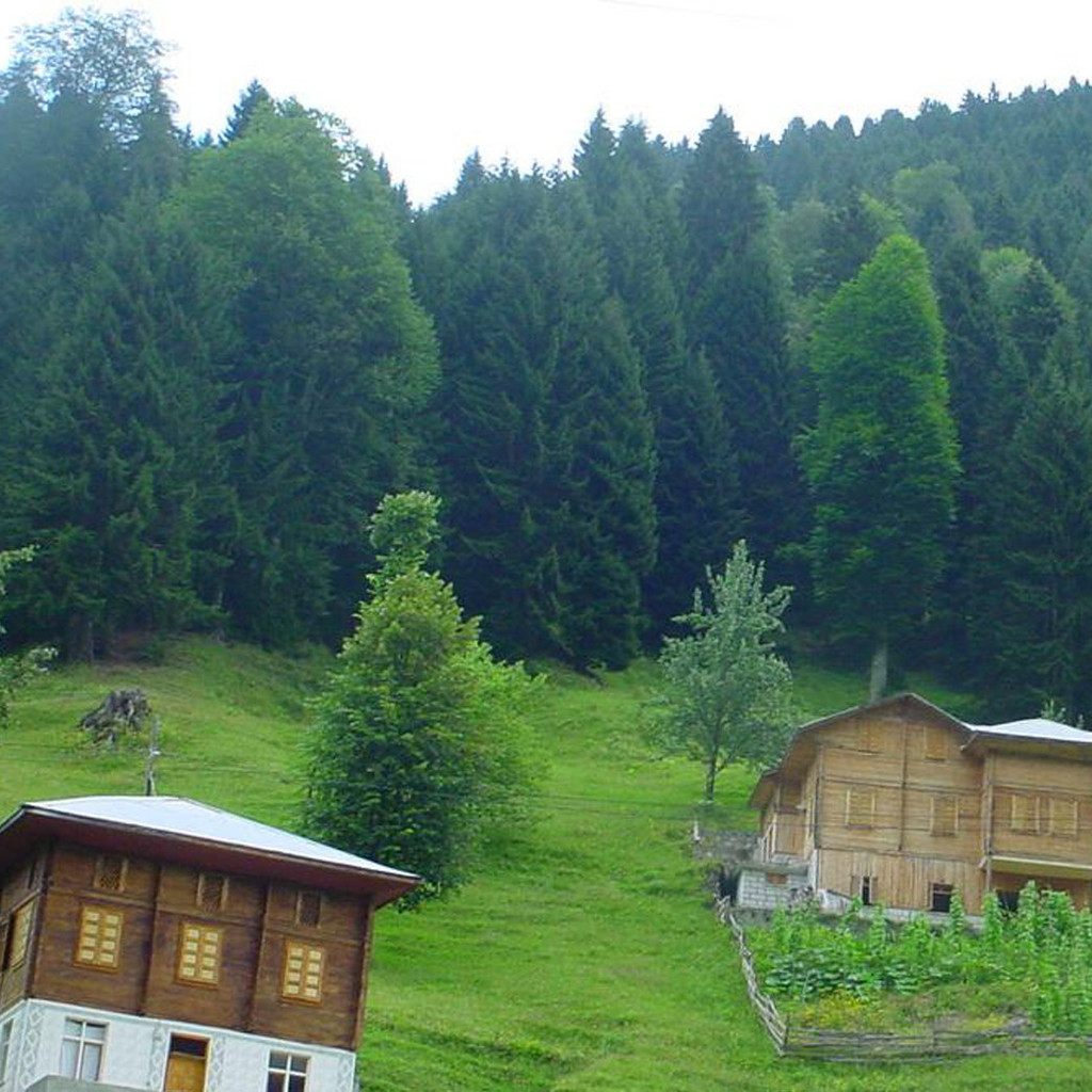 Sinan şimşek - Büro - Eti Krom | XING