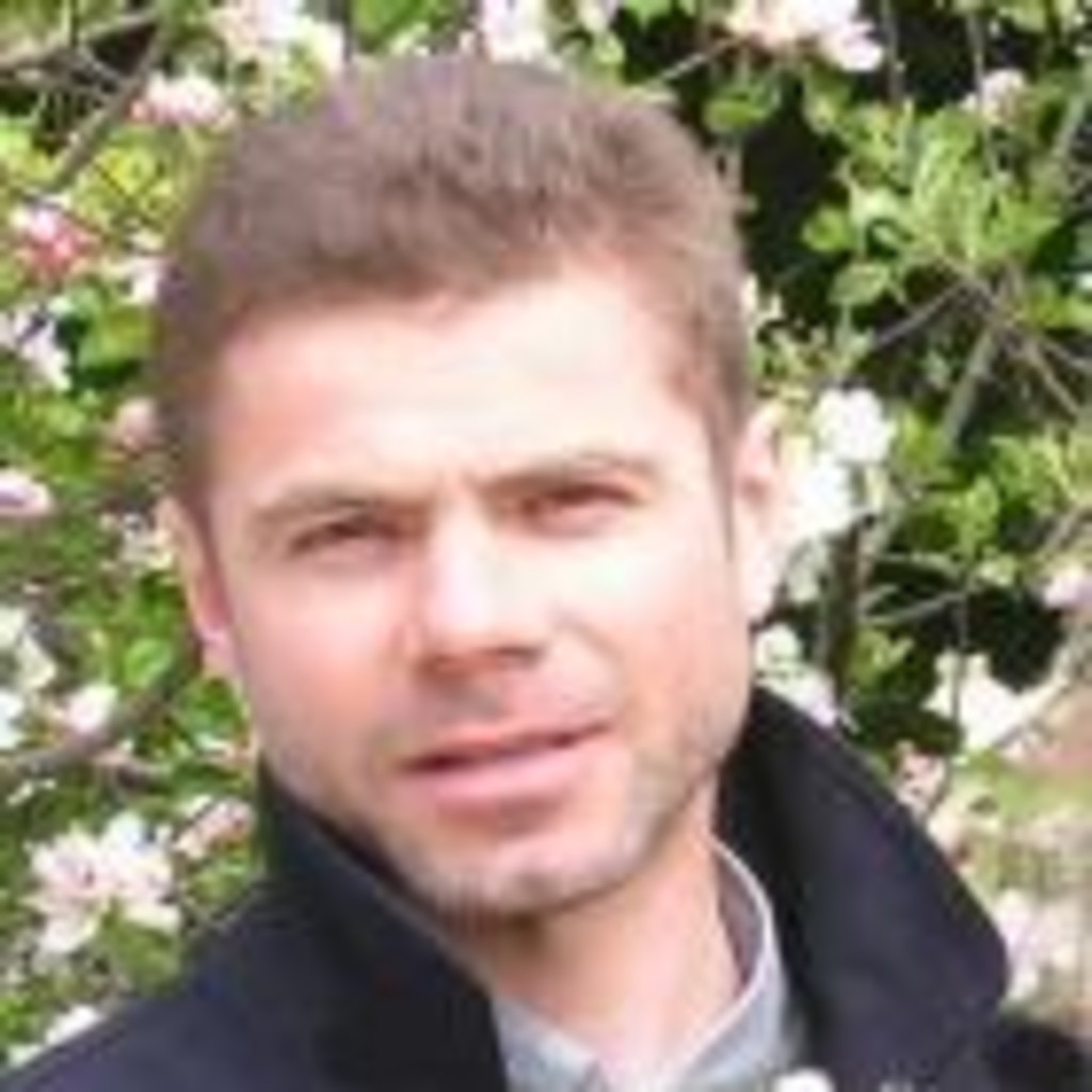 Dmitry Timofeev - директор - ООО "Sillanium" | XING