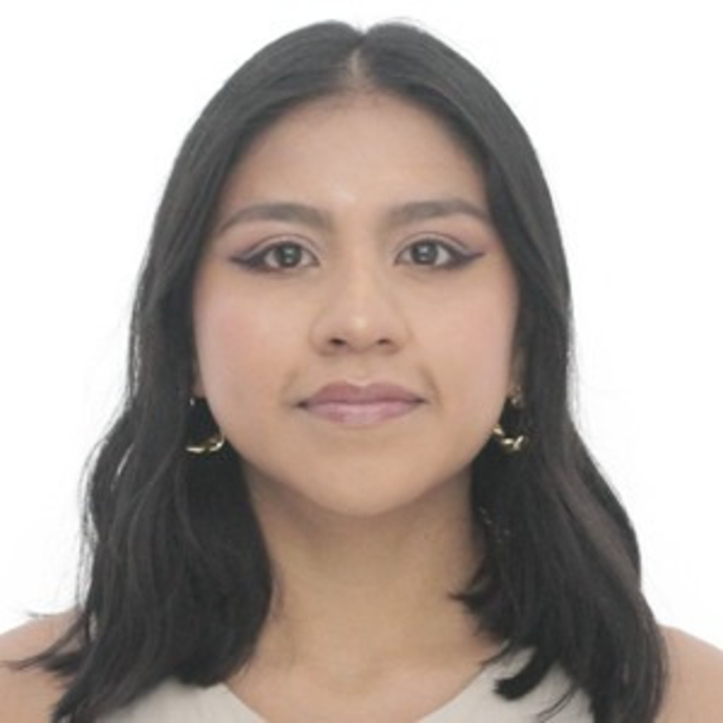 Natalia Agudelo - Consultant - International Initiative for Impact ...