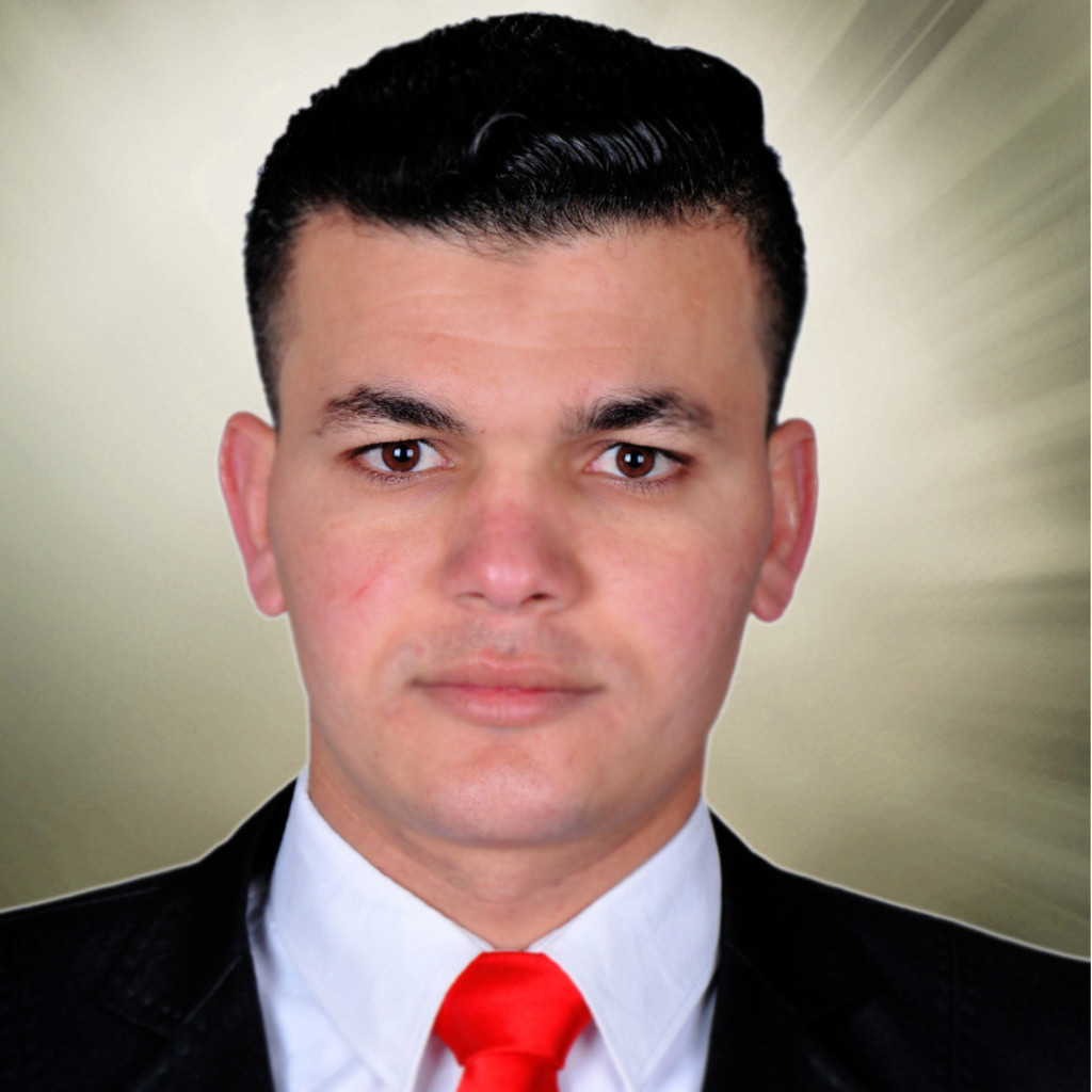 Ahmed ragab - Risk Analyst - Ministry of finance | XING
