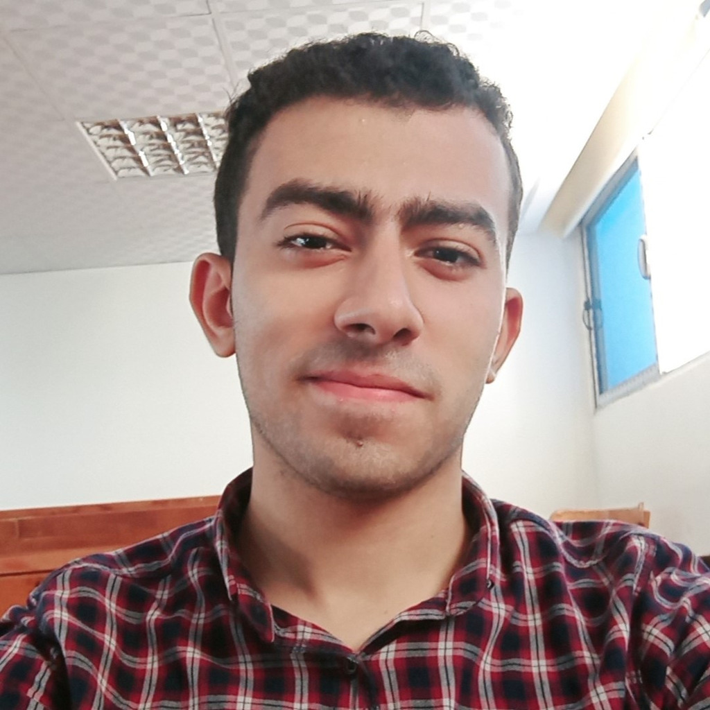Ahmed Alagmy - Electrical Engineering - Mansoura University | XING