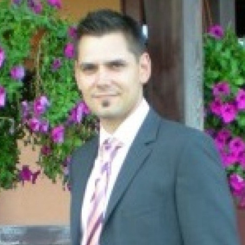 David Baur - Projektleiter - Siemens AG, Process Industries and Drives ...