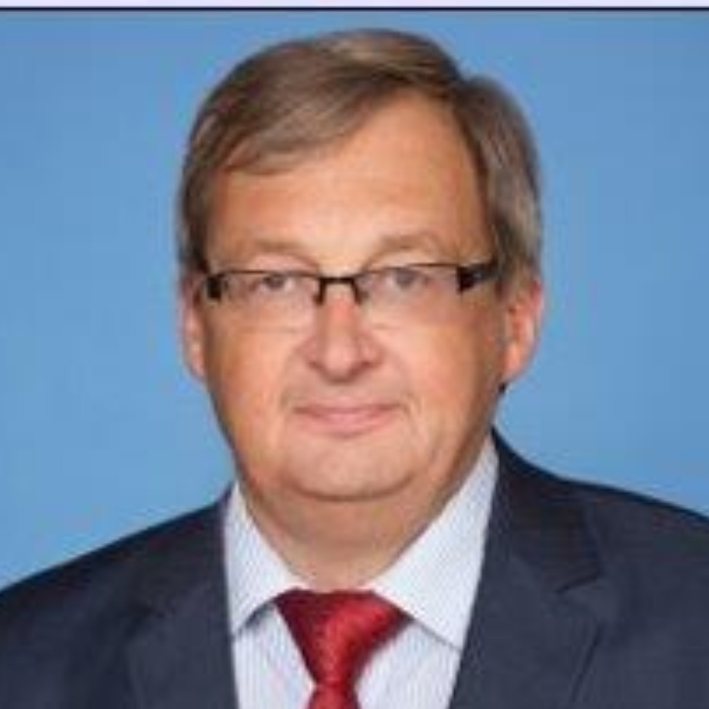 Thomas Hartmann - Head of Controlling EMEA ASL - DACHSER SE | XING