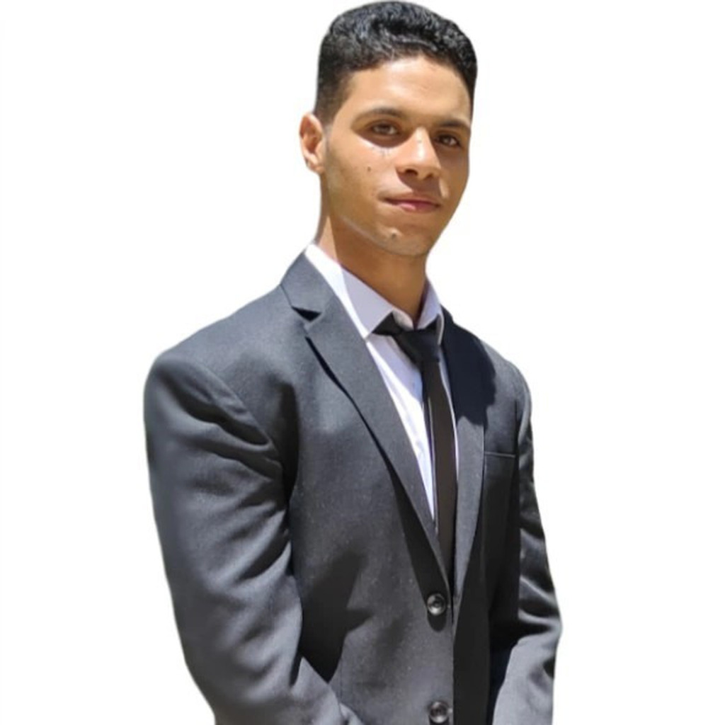 mohamed Ali - Software Developer - Realsoft | XING