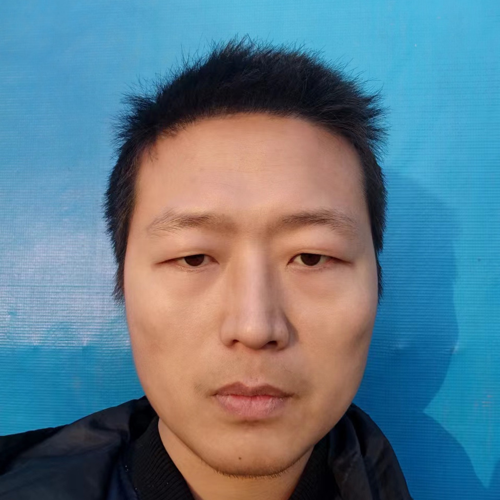 yaqiong li - Senior Backend Developer - Hillstone | XING