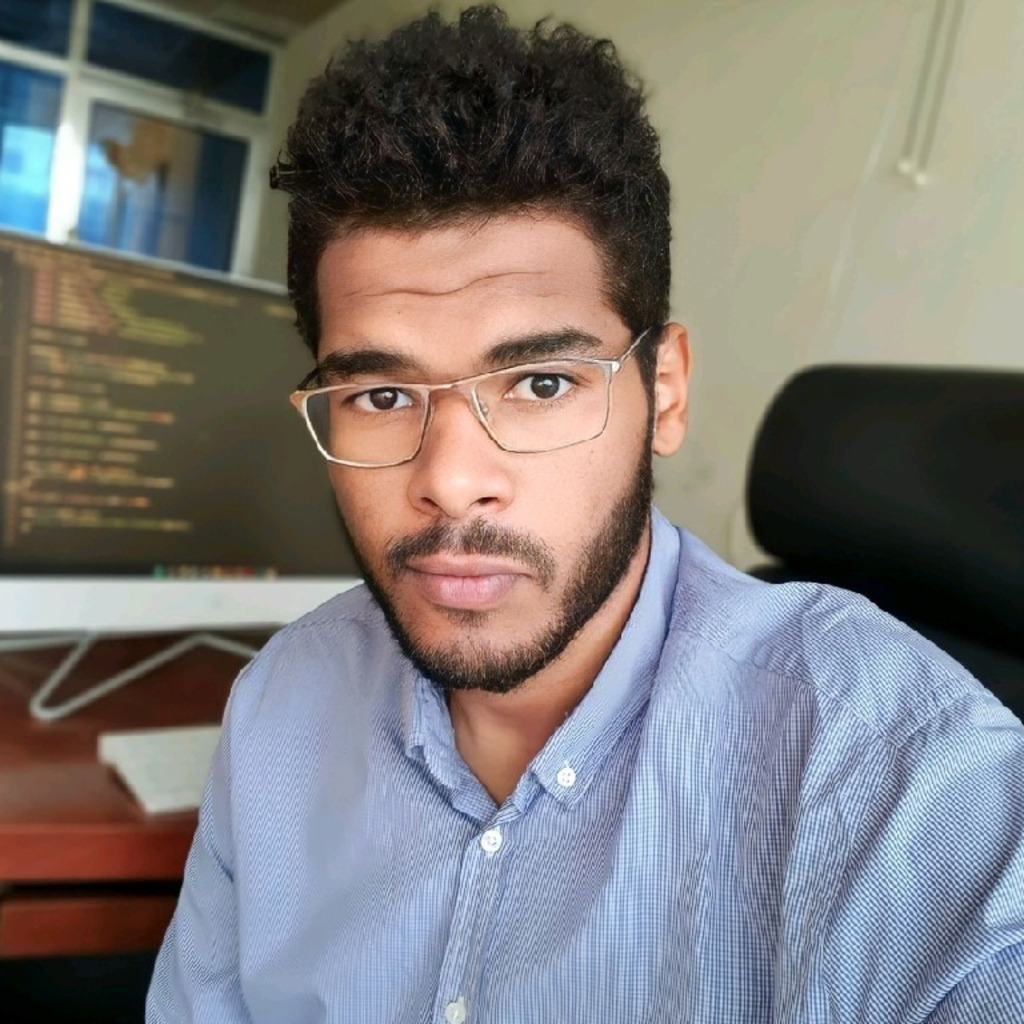 Mohamed Ebeid - Fullstack Developer - Ananet E-services Co Ltd | XING