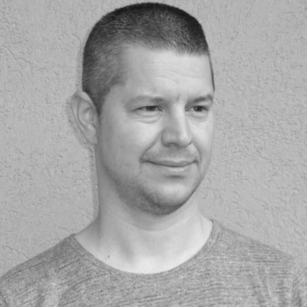 Daniel Katona - FP&A Manager - Ingram Micro | XING