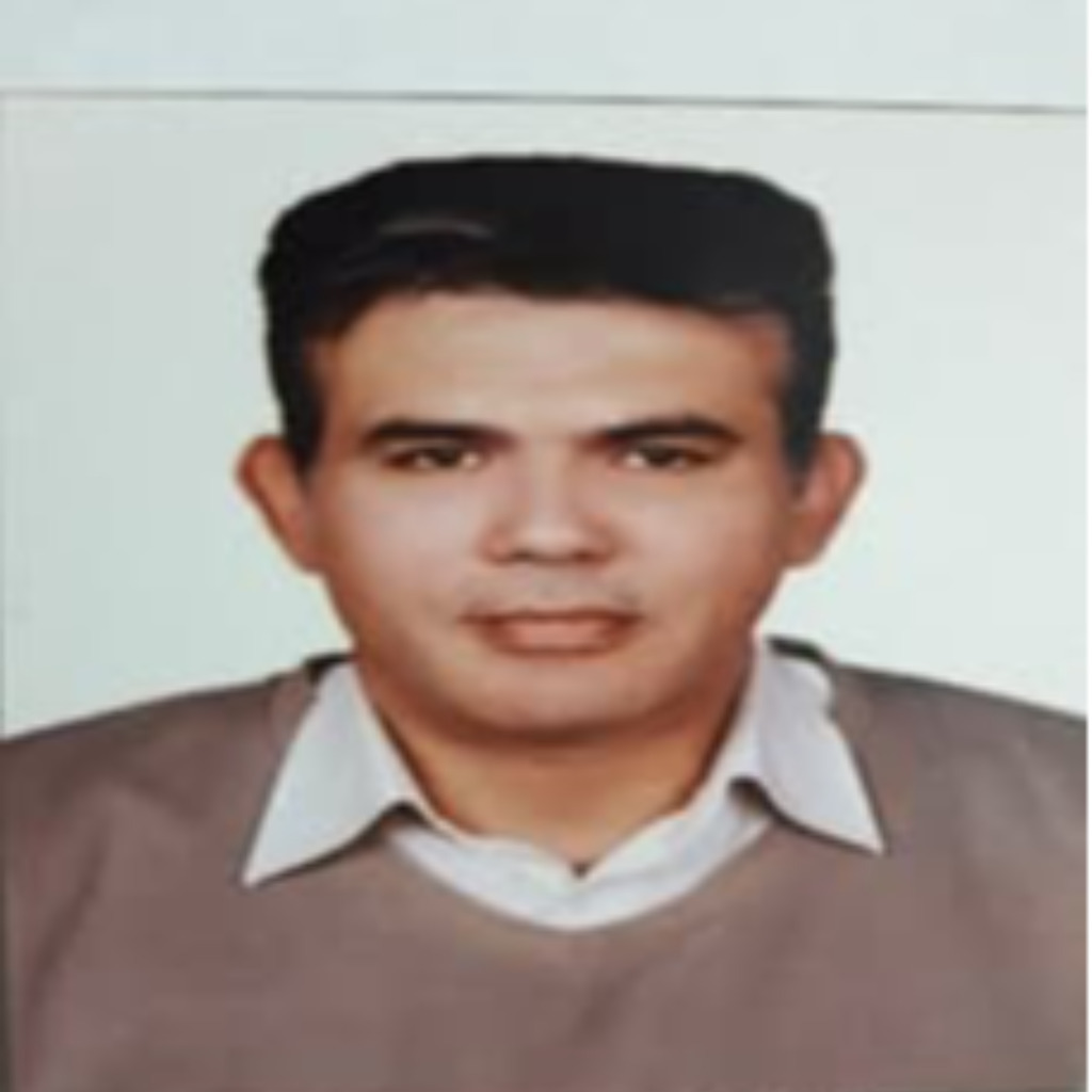 Hossein Zandi - Project Manager - Mega Sanat | XING