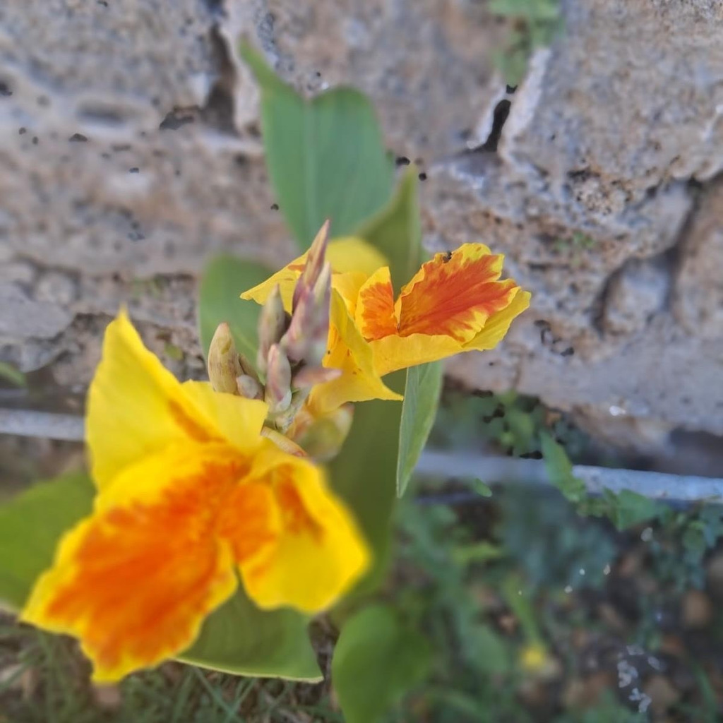 Anke Krause - Technischer Zeichnerin HKLS - Intecplan Düsseldorf | XING