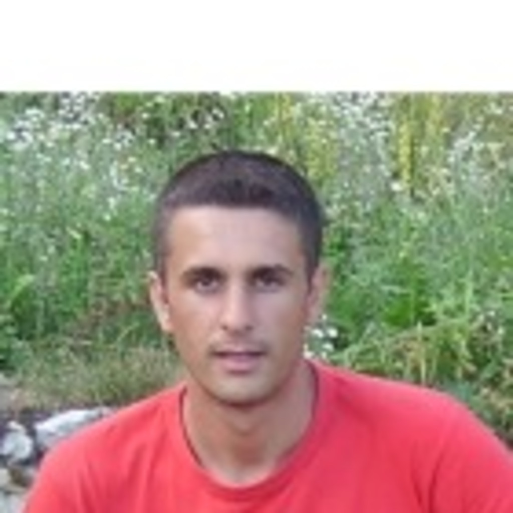 Razvan Ciobanu - Process Engineer - Lear Corporation Romania | XING