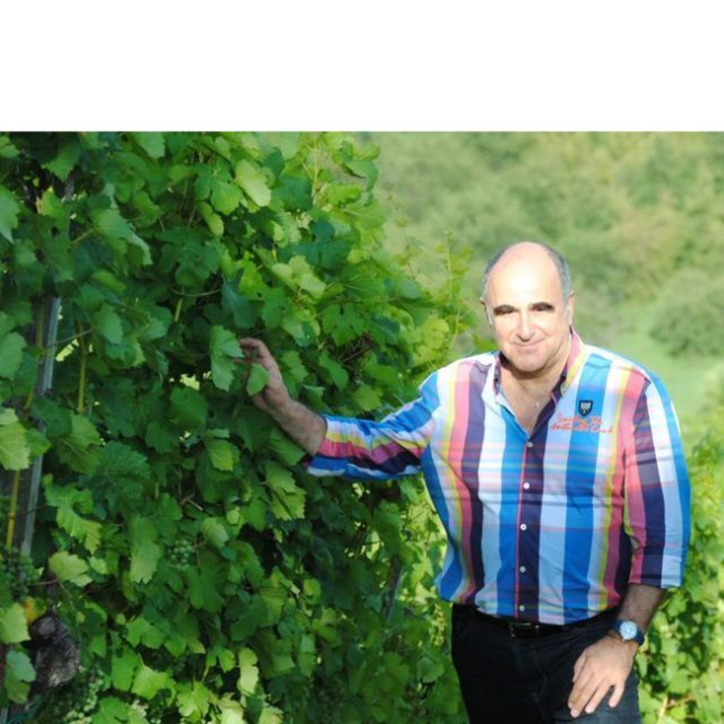 Philliph Marchini - CEO - Gala shows & models Marchini e.U. | XING