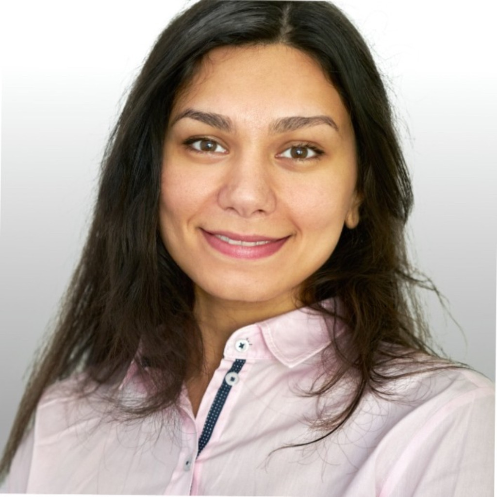 Shirin Heidarikahkesh - Working Student - Friedrich-Alexander ...