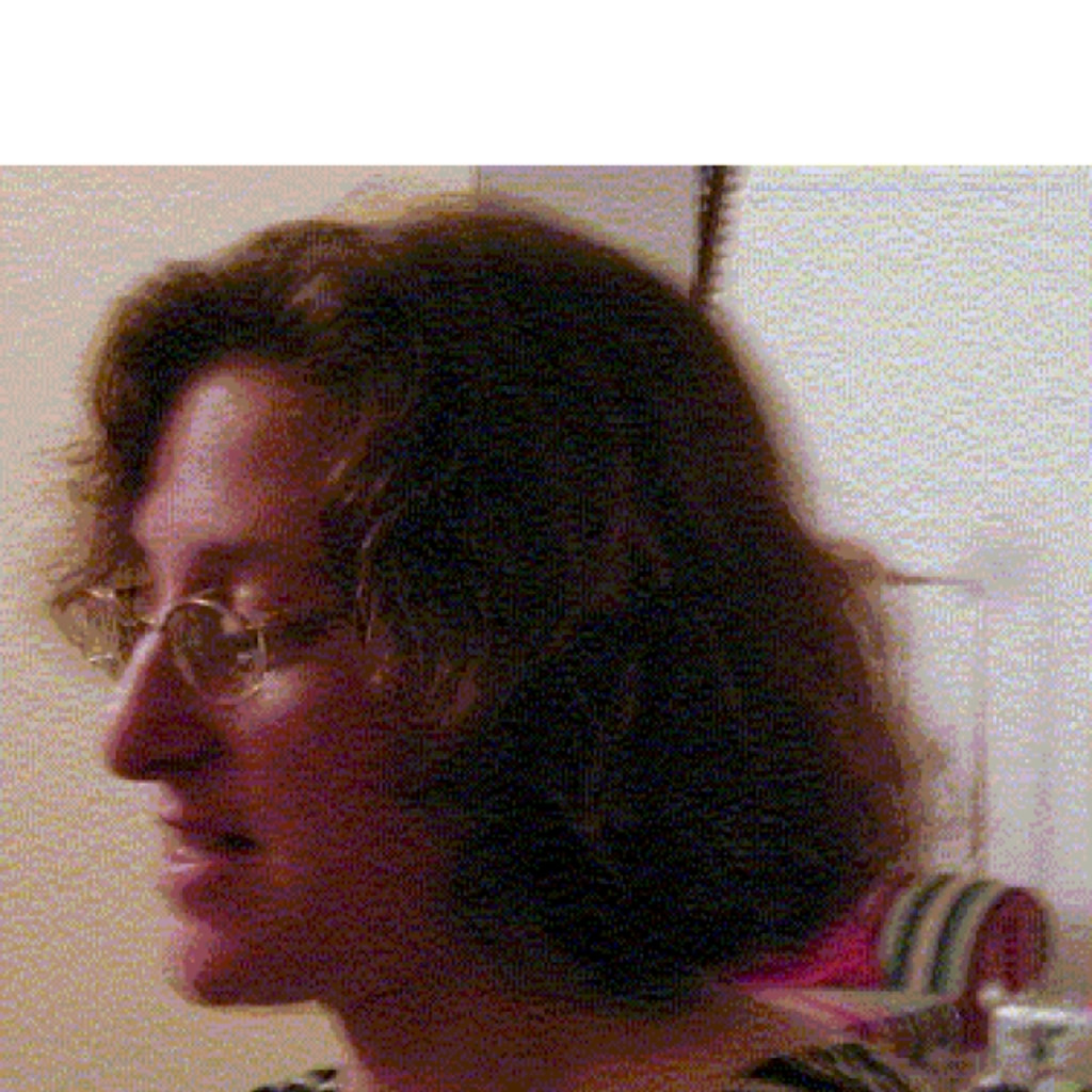 Deborah Aks - Research Scientist - Rutgers Center for Cognitive ...