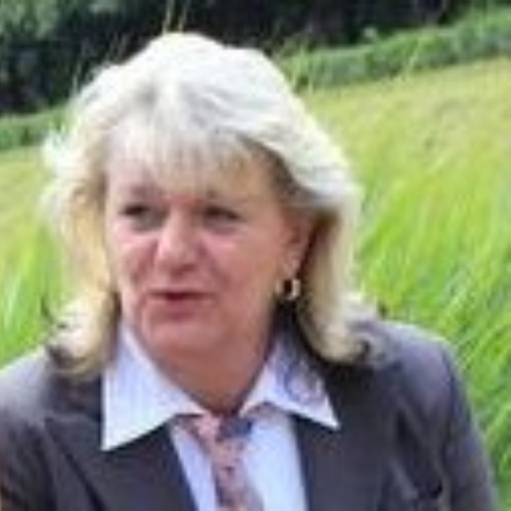 Romy Knüpfer - Büroleiterin - Finanzengel GmbH | XING