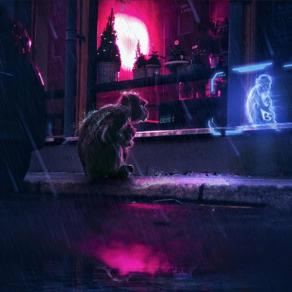 Mudit Pratap Singh - Java Developer - NTT Data | XING