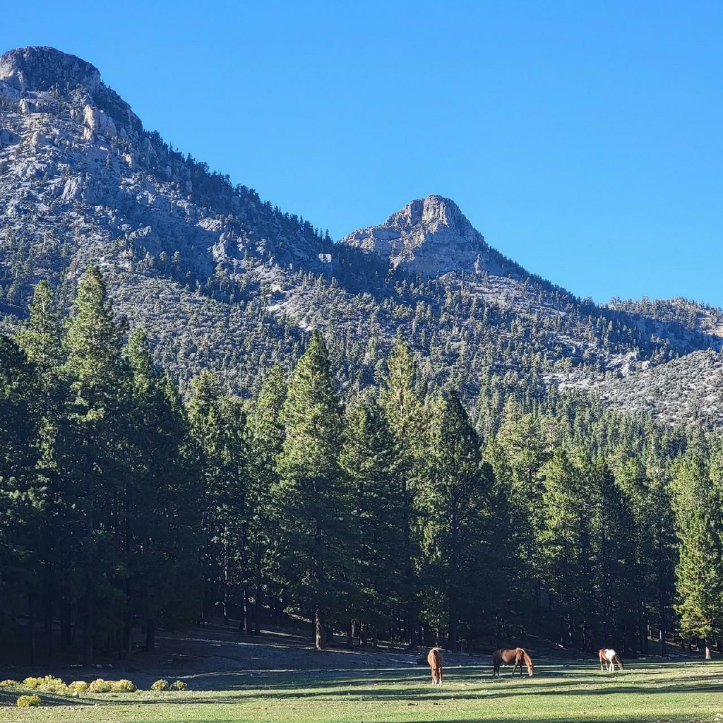 Jacob Becks - Filmaking - The Ohio State University | XING