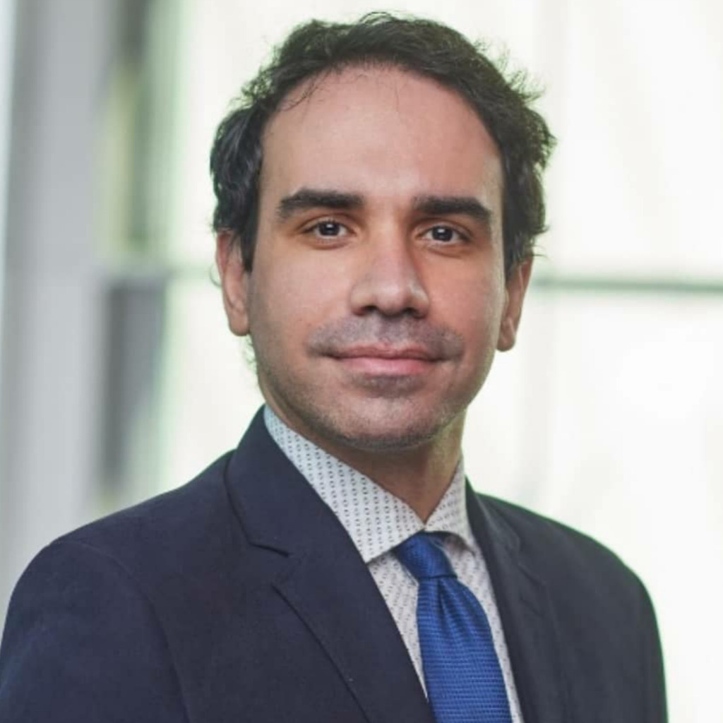 Dr. Nima Noii - Senior Research Developer - DIK e.V. | XING