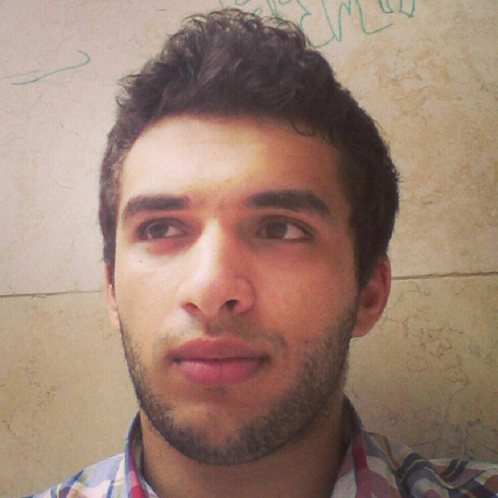 Amr Aly - Database Administrator - BC Developments | XING