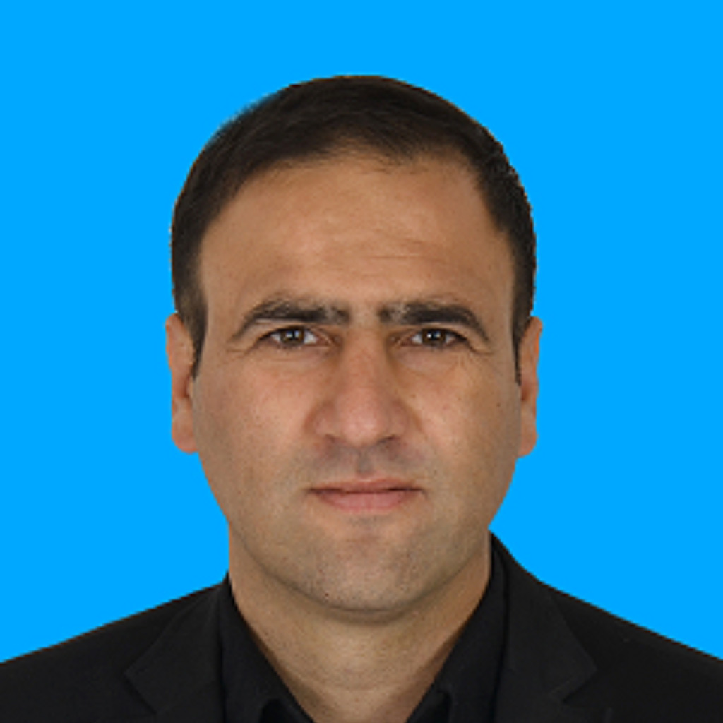 Hamid Jafarzadeh - PhD - Dalian University of Technology | XING