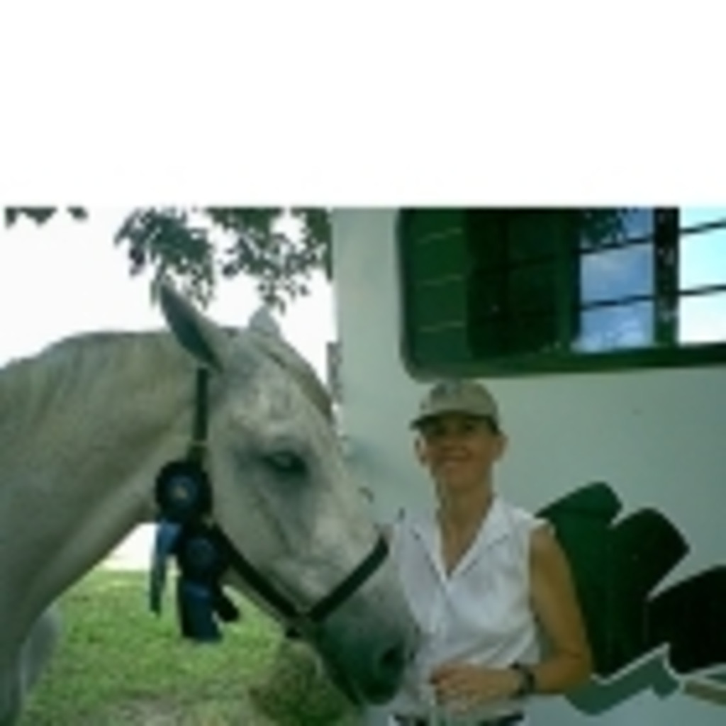 Sharon Mulder-Lampley - owner - Equus Design | XING