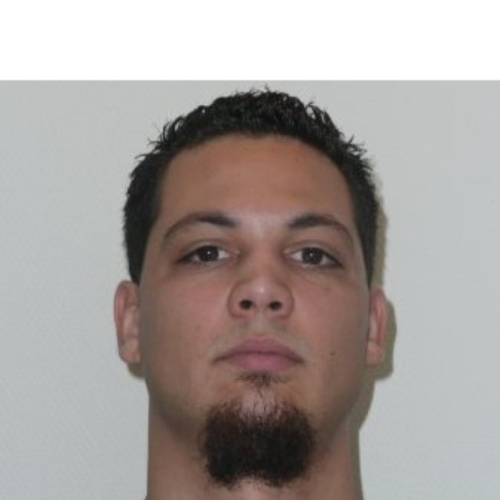 Adam Vas Network Administrator T Systems International Gmbh Xing