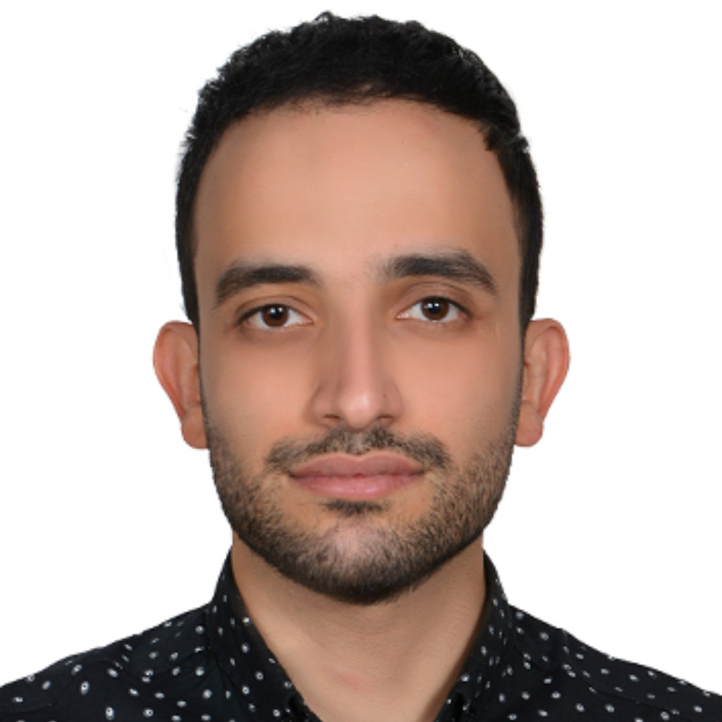 Pouya Ganjeh - IT programmer - P.V. Betonfertigteilwerke GmbH | XING