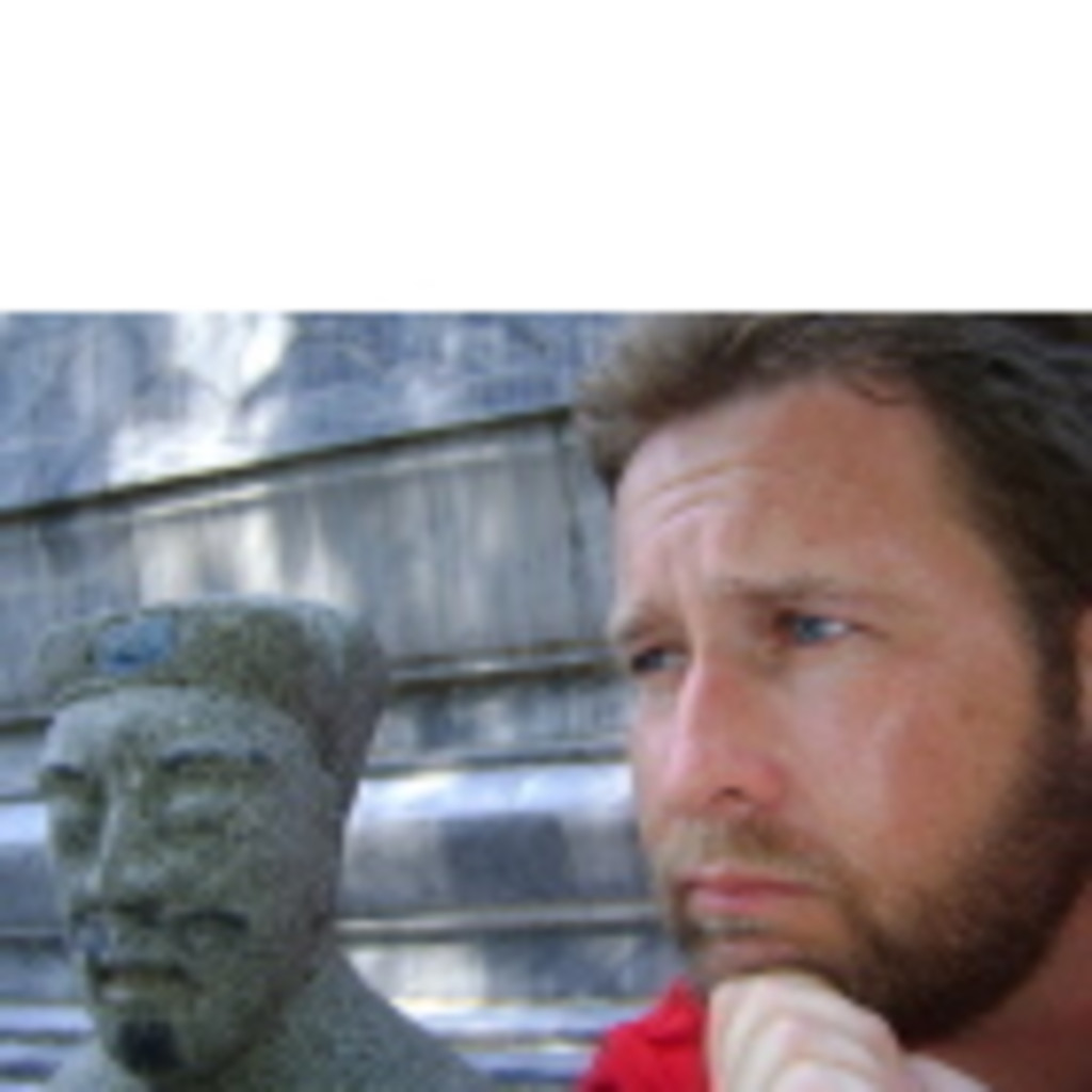 Shayne O'Flaherty - Owner - Analyse Write Train Limited | XING