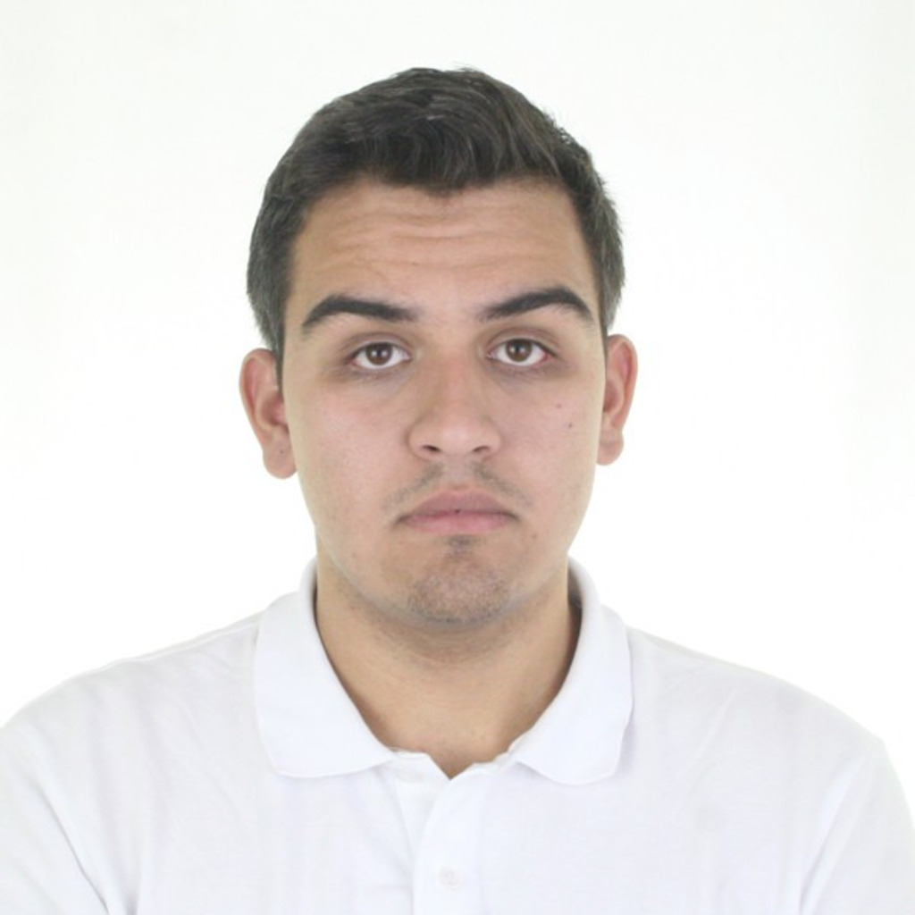 Edgar Abasov - COO - stamo.AI | XING