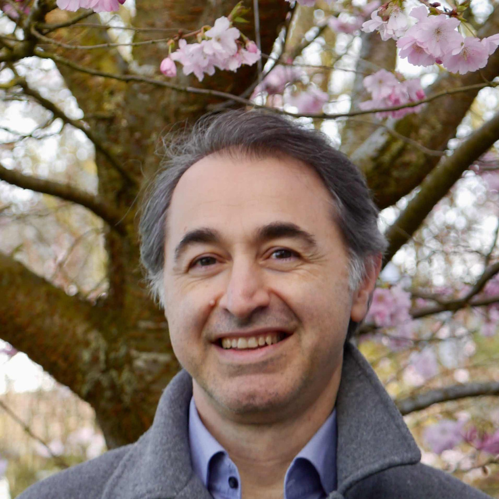 Reza Rashidi - Senior Service Manager Content & Web - Jungheinrich AG ...