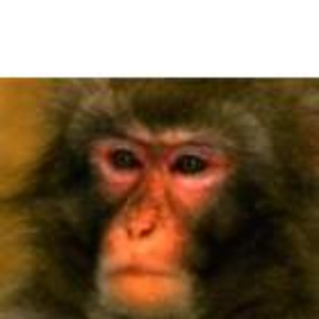 Greg Westergaard - President - Alpha Genesis | XING