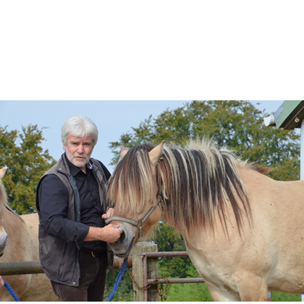 Dr. Christian Torp - Tierarzt - Dr. Christian Torp | XING