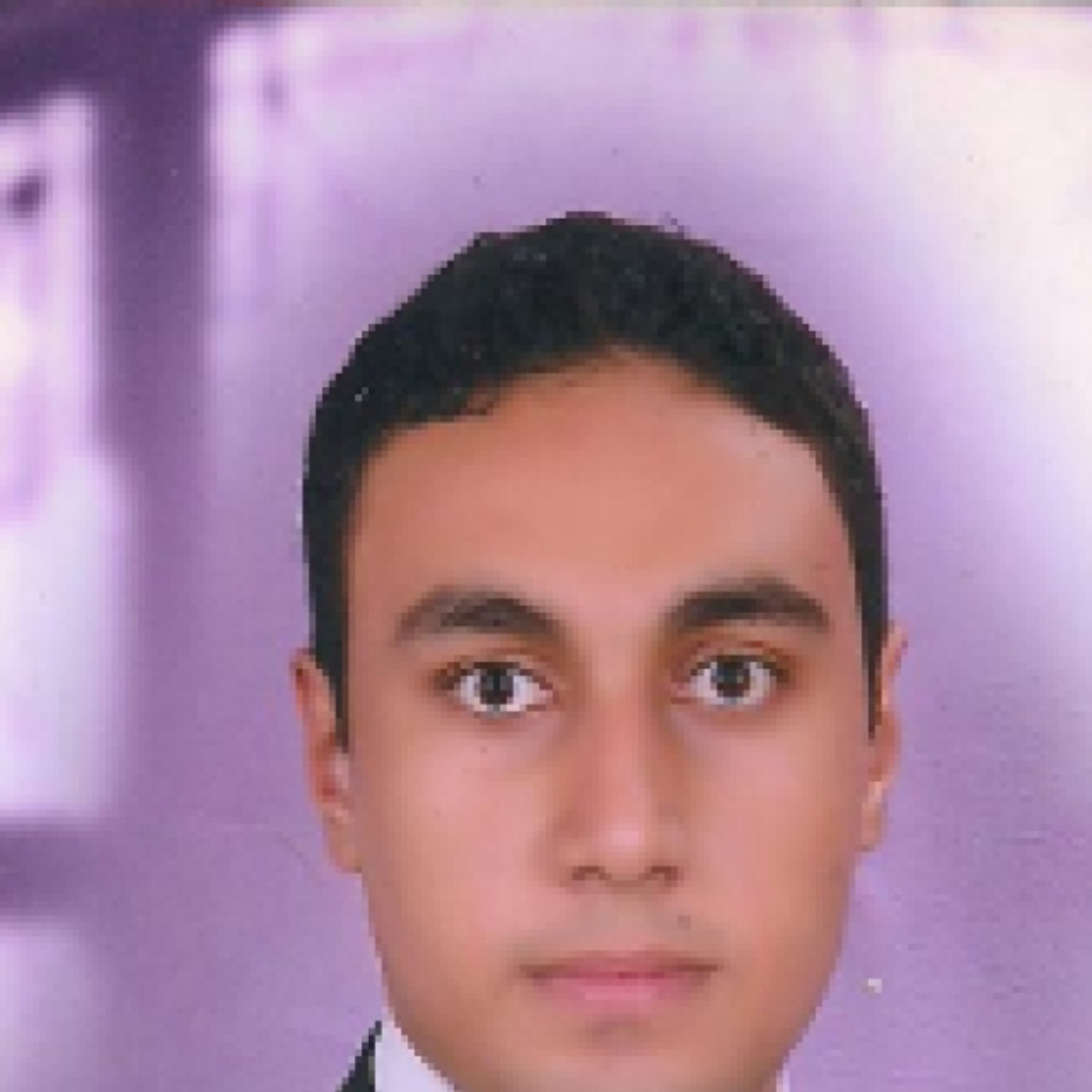 Basem Abdo - System Engineer - Valeo | XING