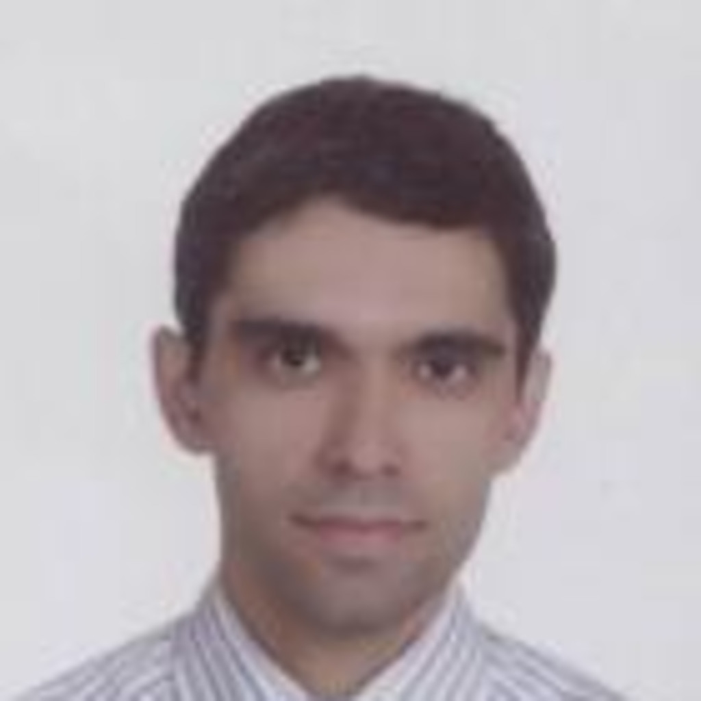 Behnam Bahmani - Software Developer - Petroiran | XING